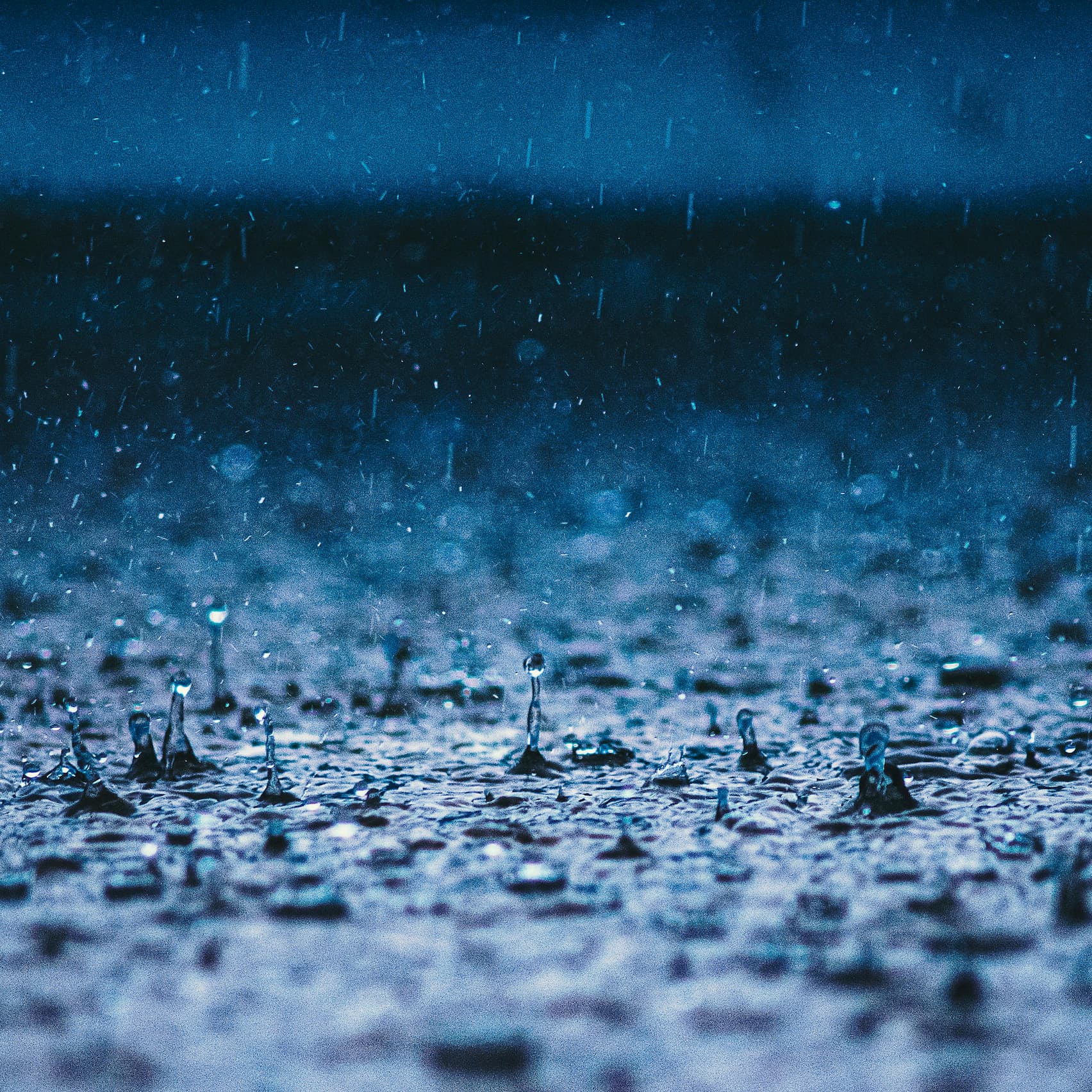 Rain, rain and more rain! Life in Panama in October! - Larada Horner ...